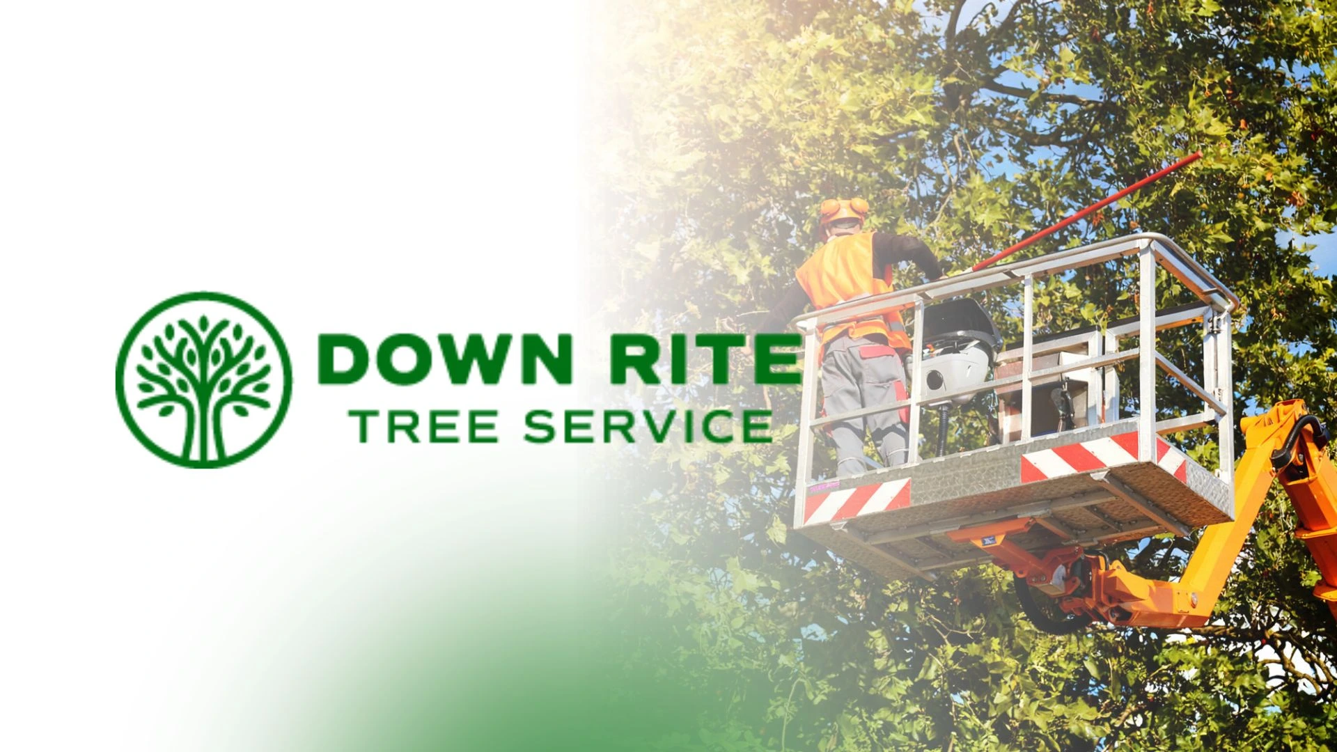 Down Rite Tree Service | Milwaukee’s Top-Rated Tree Care Team